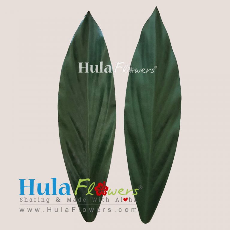 DIY Silk Ti Leaves (Making Haku) | HulaFlowers.com