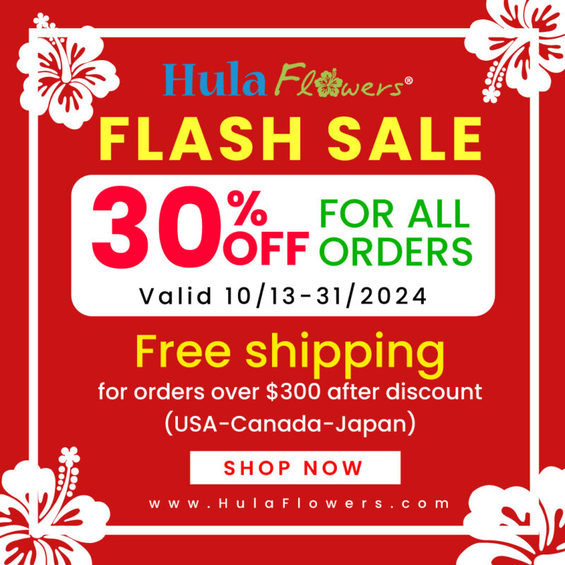 Hula Hair Clips | HulaFlowers.com